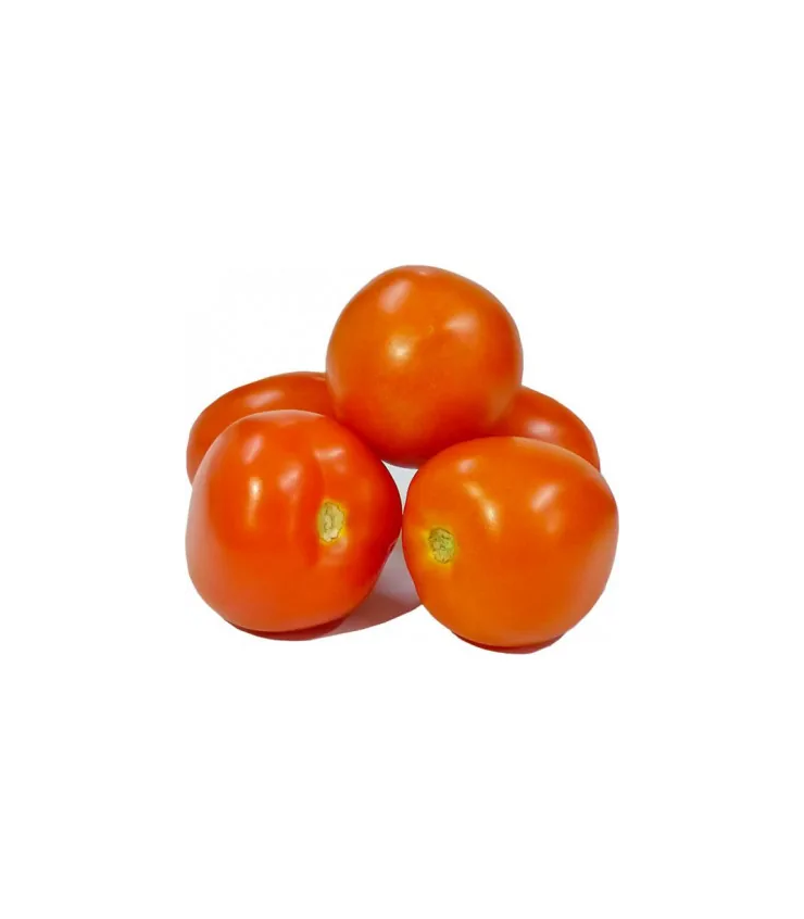 Tomate Chonto-libra