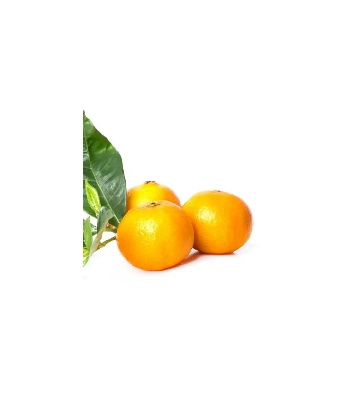 Mandarina Arrayana Segunda - docena